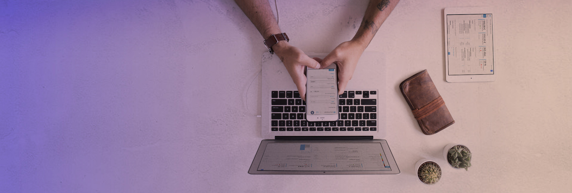 DS | Software de Gestão Cloud Gratuito Primavera Jasmin Express